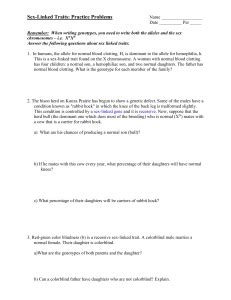 Sex Linked Traits Worksheet Genetics Practice