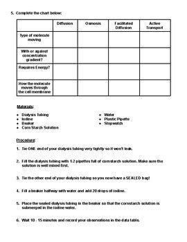 Dialysis Tubing Diffusion Lab By Lacy Sposato TPT