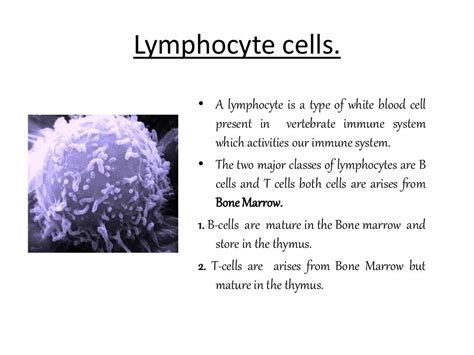 Complement Dependent Cytotoxicity Cdc Cross Match Test