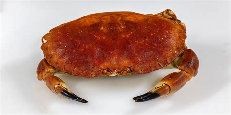 Dela En Krabba › Bong Touch Of Taste Se