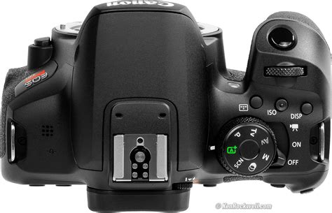 Canon T8i (EOS 850D) Review