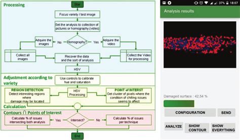 Flow Diagram Of The Algorithm And App Snapshot Download Scientific