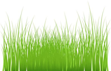 Grass Silhouette Seamless Pattern Green Grass Meadow Border Vector Pattern Stock Illustration