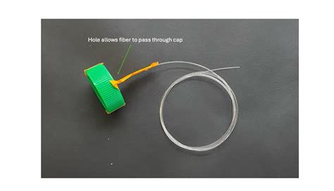 Improved Methodology For Liquid Delivery To The Mouse Lung Intubation Using A Consumer Otoscope