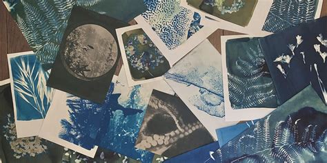 Atelier Cyanotype Avec Julia Ozart