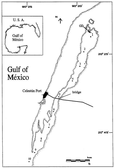 Location Of The Celestun Lagoon And Sampling Sites