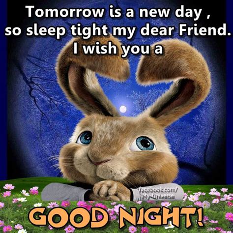 Funny Sleep Tight Sayings At Thomas Gabaldon Blog