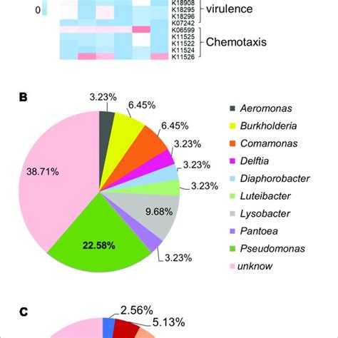 Microbial Predicted Function Of The Tiger Lily Rhizosphere Microbiome