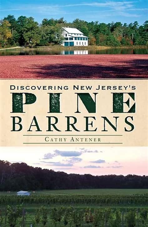 Where Are The New Jersey Pine Barrens At Joyce Reddington Blog