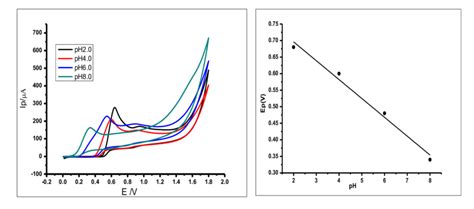 A Cyclic Voltammograms Showing The Effect Of Ph On The Electrochemical