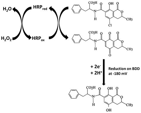 Design Of A Boron Doped Diamond Microcell Grafted With Hrp For The