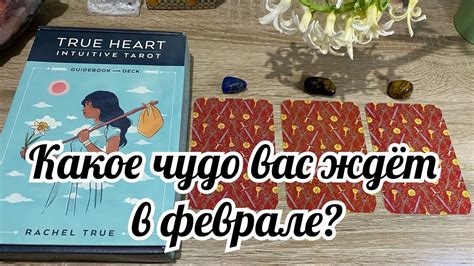 Какое чудо вас ждёт в феврале Гадание на таро Расклад онлайн Бесплатно Youtube