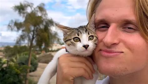 Rescued Kitten Accompanies Her Beloved Human 247