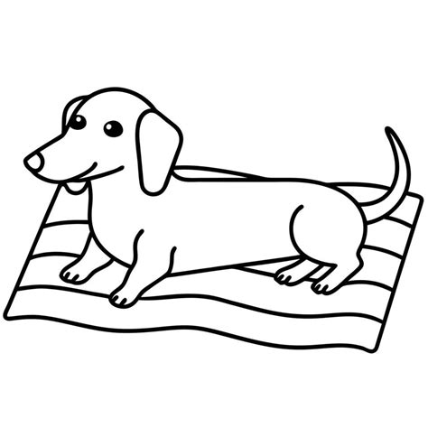 Perro Salchicha Para Colorear Para Niños 46965453 Vector En Vecteezy