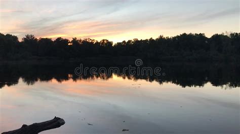 Tree Trunk In The River On Sunset Stock Footage Video Of Clouds