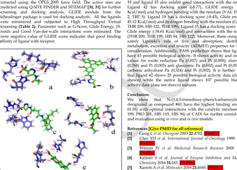 Molecular Docking Interaction Of Coumarin Derivatives Of A Native