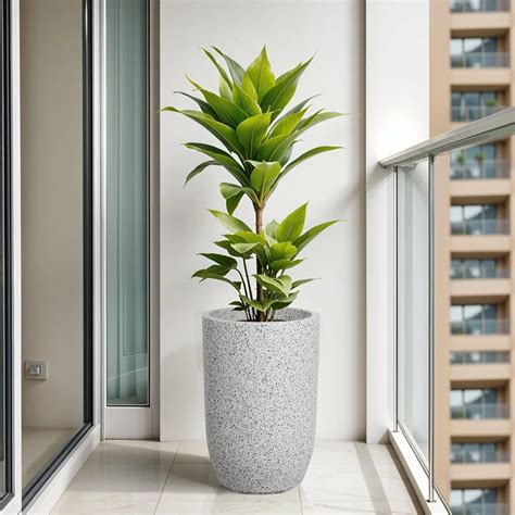 Fiber Flower Pot In Chennai Tamil Nadu Get Latest Price From