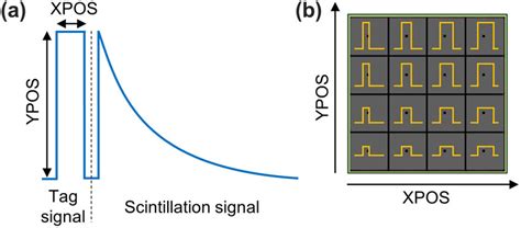 Concept Of Ptm A Waveform Of Ptm Consisting Of Tag Signal And Download Scientific Diagram