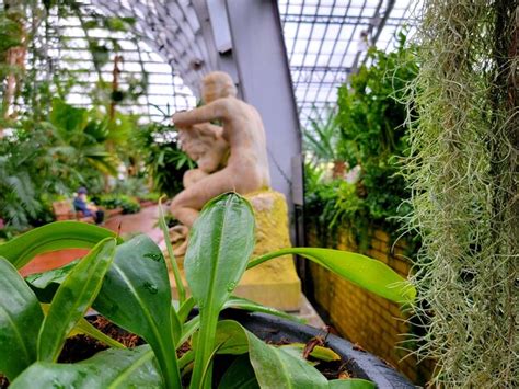 Premium Photo Garfield Park Conservatory
