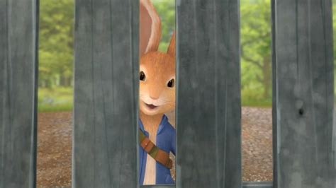 Peter Rabbit The Tale Of Rabbit And Squirrel Great Adventure Back