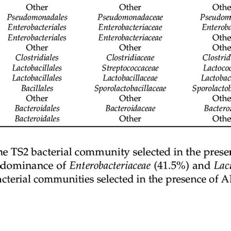 Detailed Analysis Of The Bacterial Community By Pyrosequencing Download Scientific Diagram