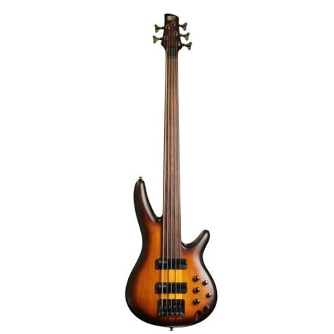 5 Best Fretless Bass Guitars