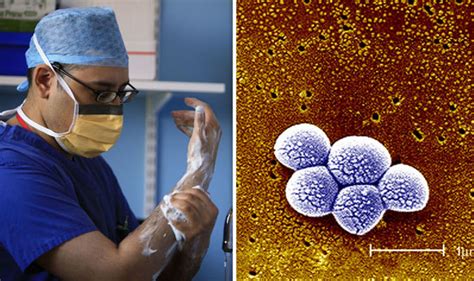 Mrsa Bug Mutates Seeing Thousands Die Every Year From Treatable Infections Uk News Express