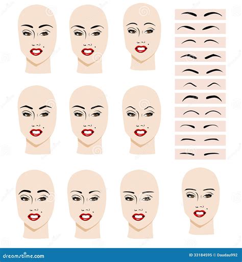 Eyebrow Shapes Face Types Graphics Creative Market