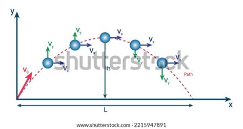 Projectile Motion Diagram Physics Parabolic Curve Stock Vector Royalty
