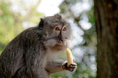 Mums Warning As Daughter Has To Get Rabies Jab In Neck After Bali