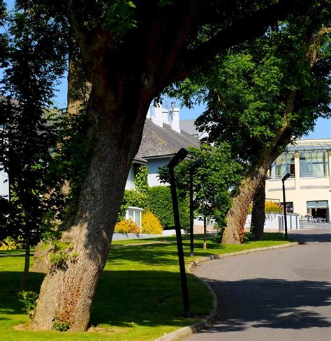 Ballyroe Lodge Luxury Hotels In Kerry Official Website