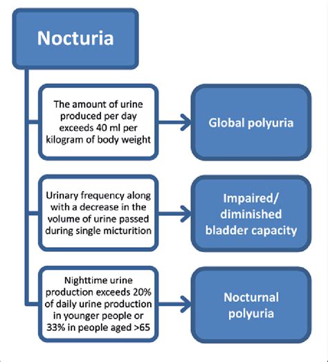 Diagnostic Algorithm For Nocturia Using A Bladder Download