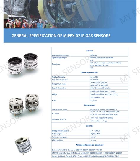 Combustible Gas Sensor Module For CH C H Detection OEM