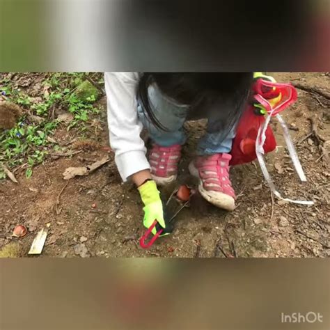 밤줍기 체험 공주밤 Youtube