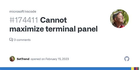 Cannot Maximize Terminal Panel Issue 174411 Microsoft Vscode GitHub