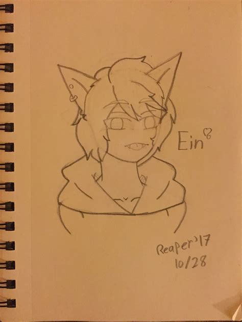 My Drawing Of Ein From Aphmau Aphmau Drawings Female Sketch