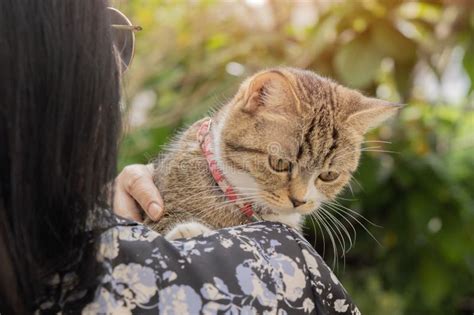 Back View Of Attractive Asian Woman Of 50 Years With A Cute Cat In Her