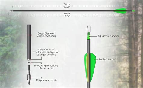 Northspoor 18pcs 30 Archery Carbon Arrows Arrows With Removable Tips
