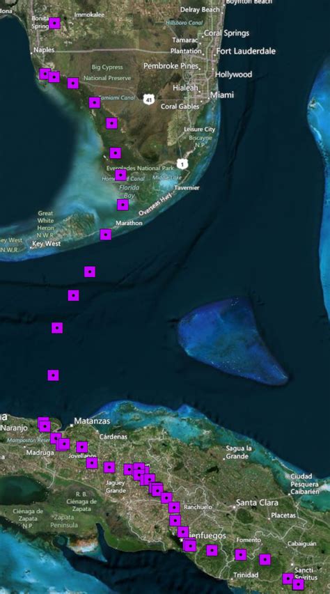 Osprey Migration Update Cuba The Center For Conservation Biology
