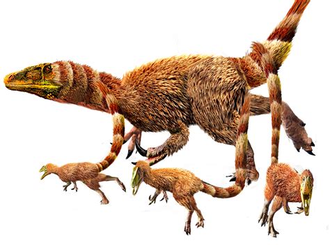 Sinosauropteryx