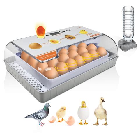Buy Incubators For Hatching Eggs 20 Egg Incubator With Temperature