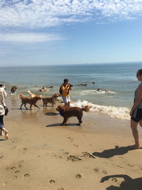 Nancy Reither Image 4 Deweys Golden Jubilee