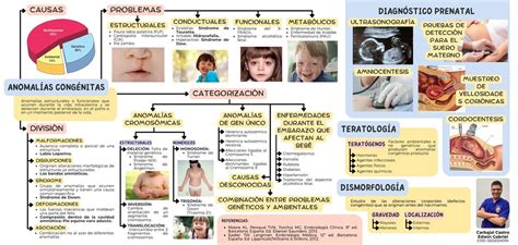 Ejemplos De Enfermedades Congénitas Mablas
