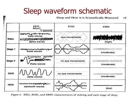 Ppt Sleep Disorders Medicine In Psychiatry Powerpoint Presentation