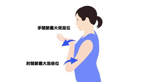 肘の内側が痛い原因は？内側上顆炎（ゴルフ肘）の見分け方と改善ストレッチ｜かなえるリハビリ