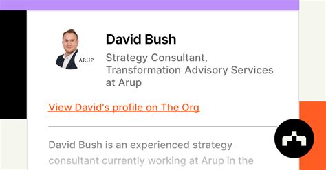 David Bush Strategy Consultant Transformation Advisory Services At