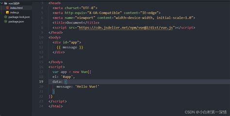 Vue2介绍（入门）vue2入门 Csdn博客