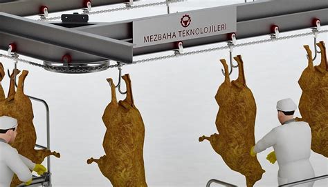 Automatic Sheep Processing Conveyor Slaughterhouse Technologies