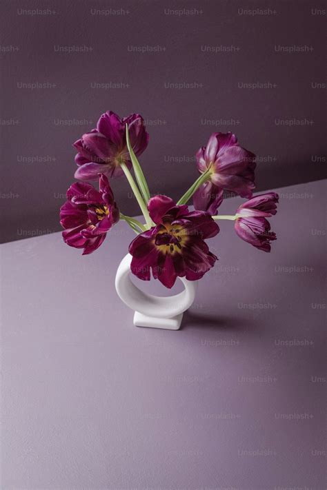 テーブルの上に紫色の花が入った白い花瓶の写真 Unsplashのフルhdの壁紙の画像