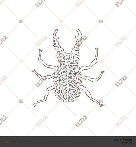 Continuous Curve One Vector And Photo Free Trial Bigstock